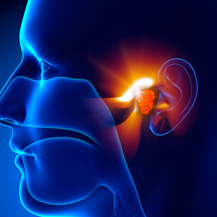 Tonsils and Adenoids - Kent & Sussex ENT