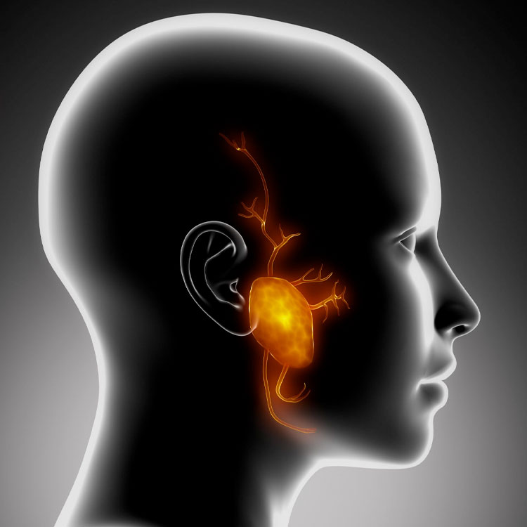 Parotid Gland - Kent & Sussex ENT