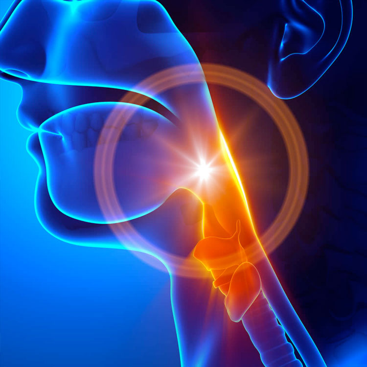Tonsils and Adenoids - Kent & Sussex ENT
